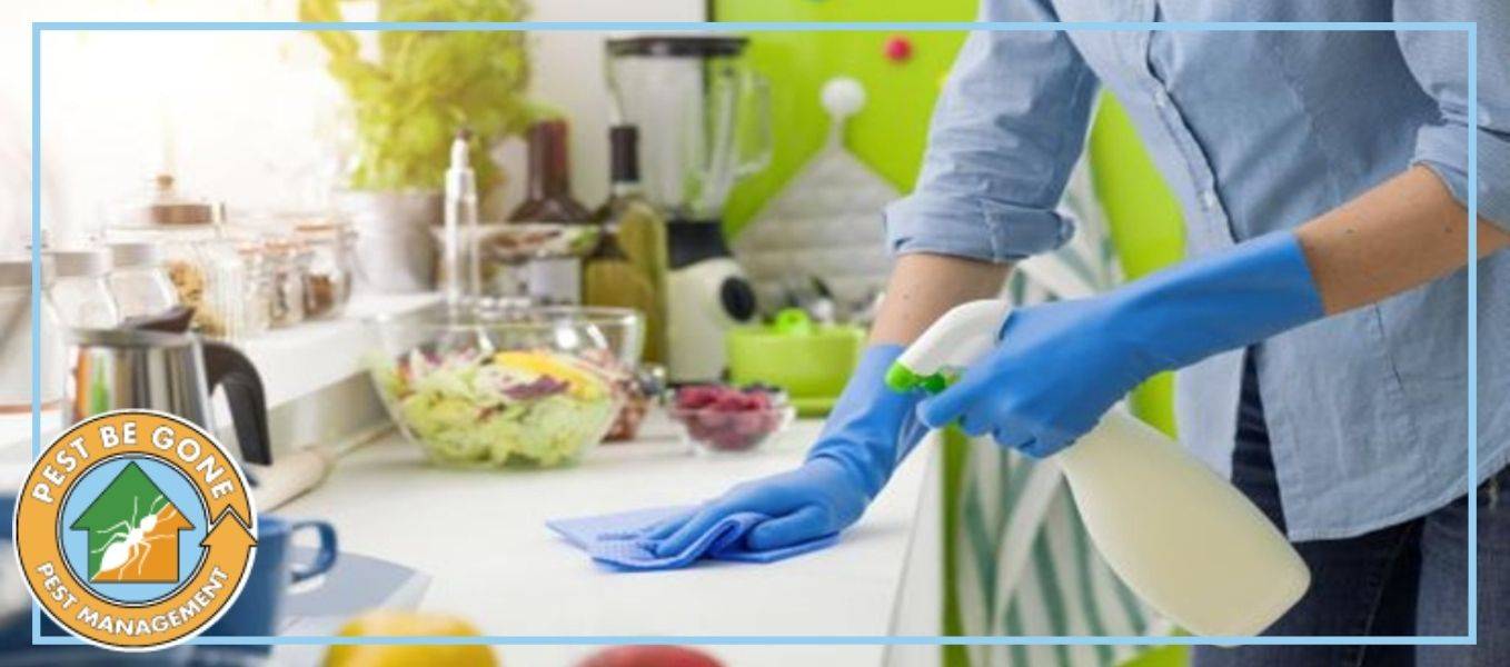 How to Keep Your Kitchen Pest-Free